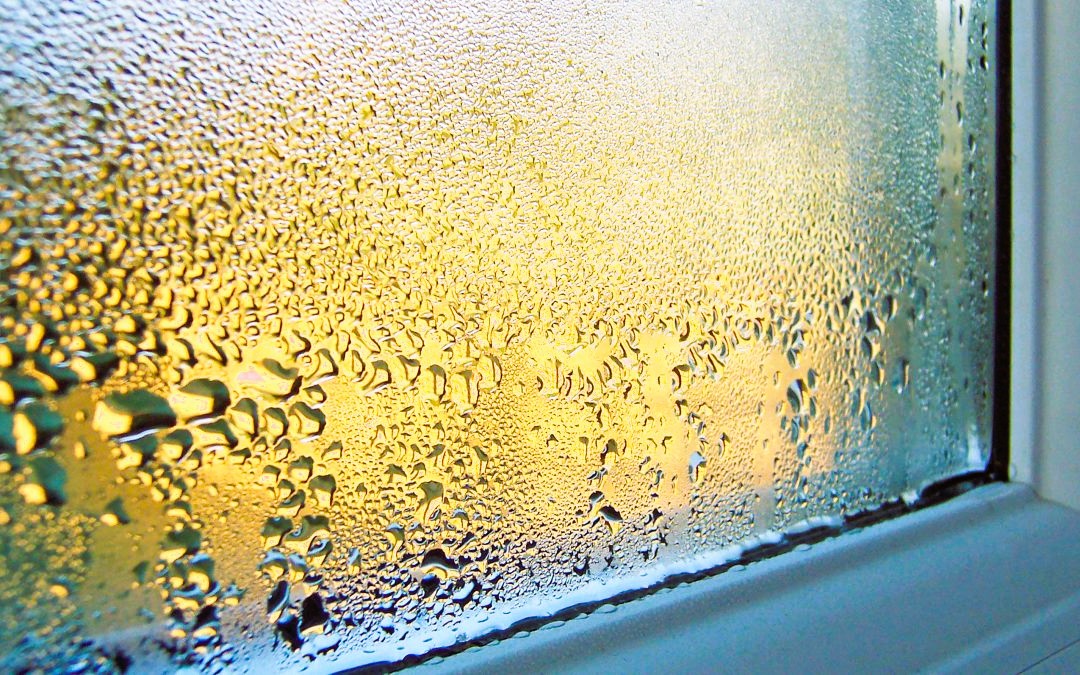 Understanding Window Condensation: Causes and Solutions | Bargain ...
